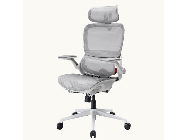 Click here for SIHOO B100 Pro Ergonomic Office Chair  Lounge Chai... prices