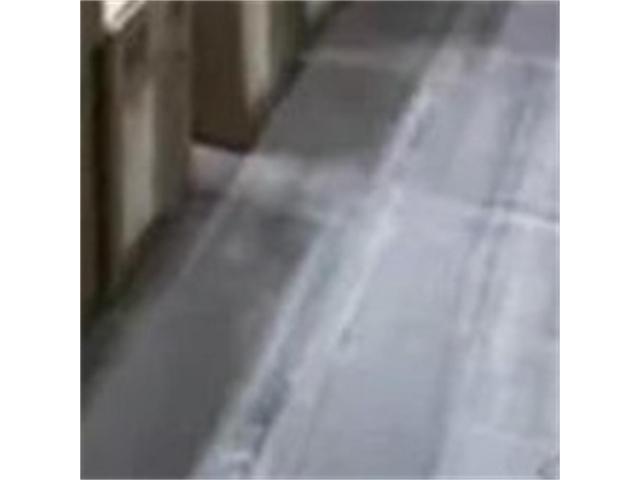 Click here for FOR 6es7 901 6ES7901-0BF00-0AA0 Connection line mp... prices