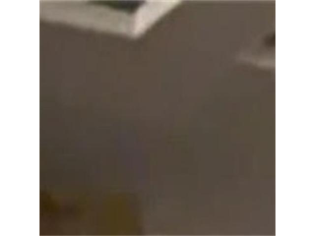 Click here for FOR 844477-B21 25GB SFP28 TO SFP28 DAC prices