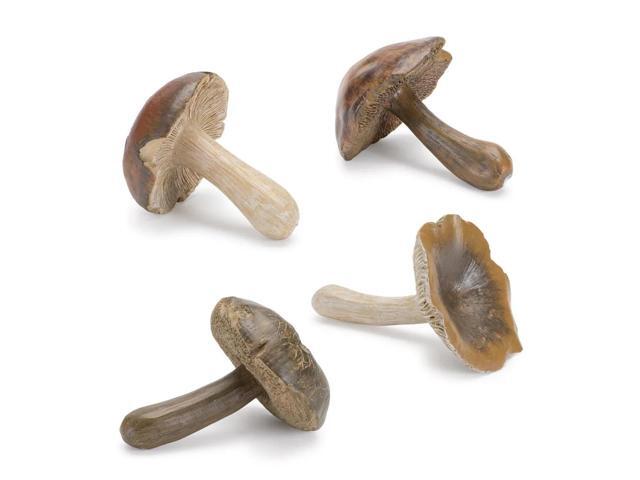 Click here for Melrose International LLC Mushroom (Set of 12) 3H... prices