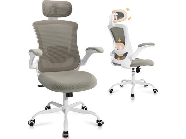 Click here for Ergonomic Office Chair with Adjustable Lumbar Supp... prices