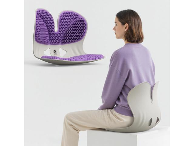 Click here for CABEVIBE Ergonomic Chair Insert with Double-Wing B... prices