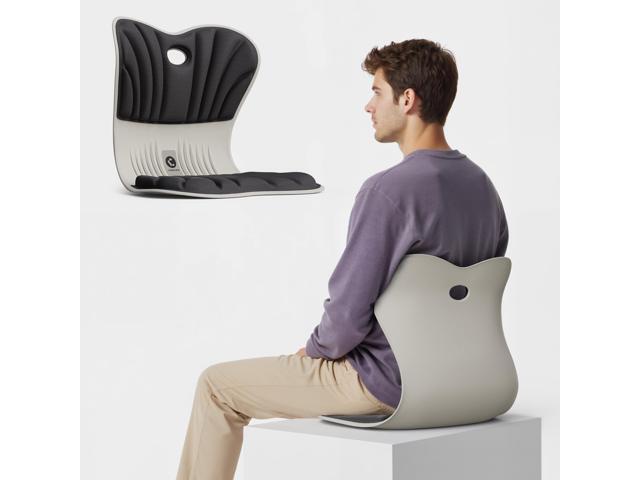 Click here for CABEVIBE M1 Ergonomic Chair Back Support Lumbar Su... prices