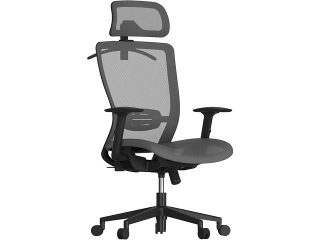 Click here for FLEXISPOT Ergonomic Office Chair  High Back Mesh S... prices