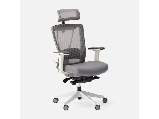 Click here for Autonomous ErgoChair Pro Ergonomic Office Chair Co... prices