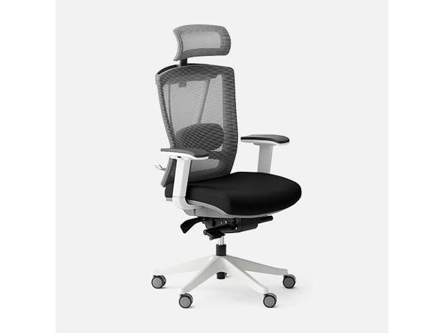 Click here for Autonomous ErgoChair Pro Ergonomic Office Chair Bl... prices