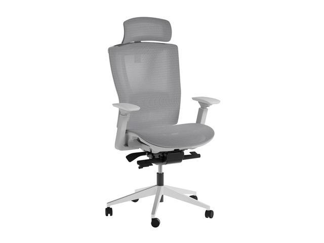 Click here for Autonomous ErgoChair Pro Office Chair Lumbar Suppo... prices