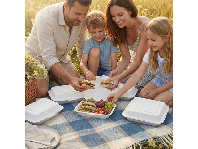 Click here for Clamshell (MFPP) Hinged Container (Center Slide)... prices