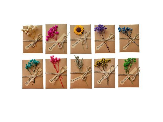 Click here for 10Pcs Gypsophila Greeting Card Multi-Purpose Retro... prices