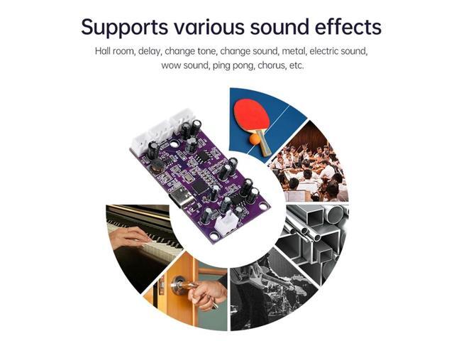 Click here for For DSP Digital Reverb Circuit Module Voice Change... prices