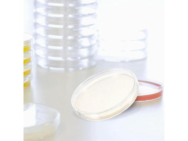 Click here for 2Pcs Fast Charging Dog USB Data Cables Funny Puppy... prices