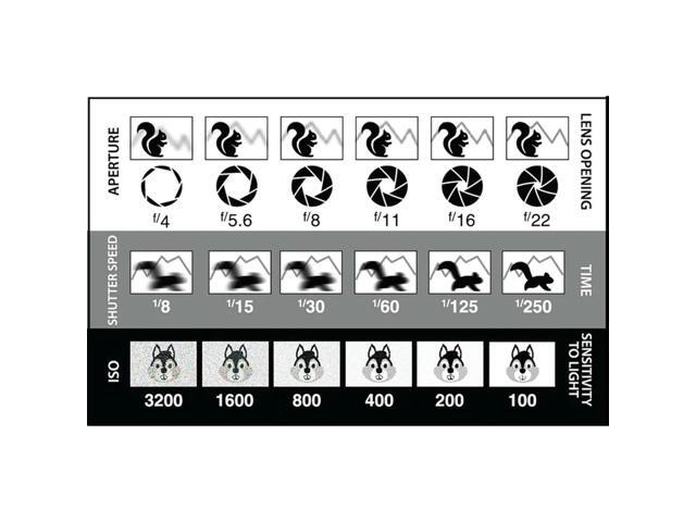 Click here for For Photographers Manual Mode DSLR Photography Com... prices