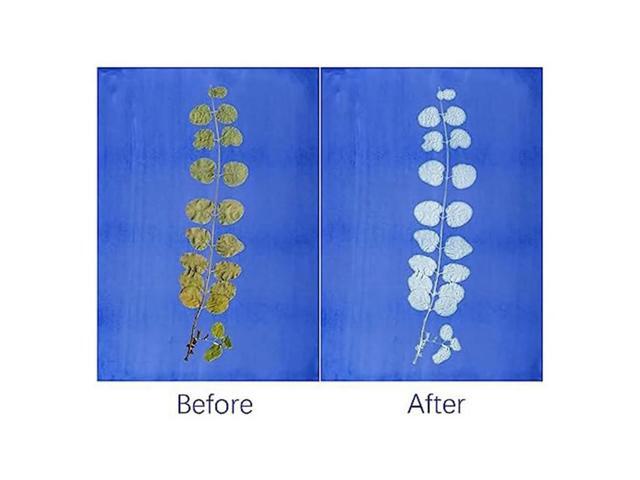 Click here for 90 Sheets Sun Print Paper Kits Cyanotype Paper Kit... prices