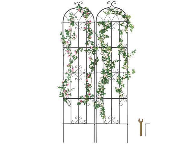 Click here for Garden Trellis for Climbing Plants  87 x 20 in  2... prices