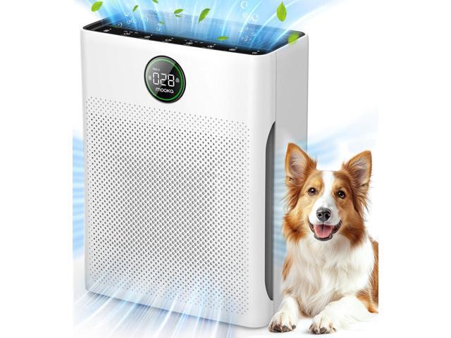Click here for Air Purifiers for Home Large Room up to 2200sq. ft... prices