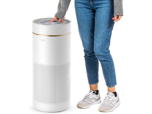 Click here for IRIS USA WOOZOO Large True HEPA Air Purifier  H13... prices