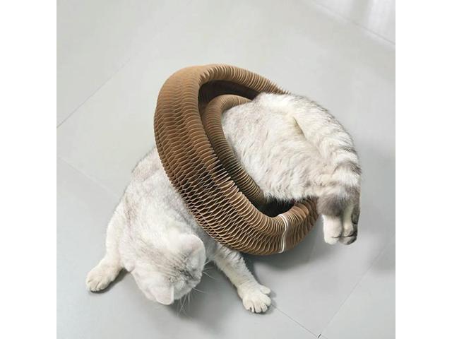 Click here for Magic Organ Cat Scratching Board Cat Interactive T... prices