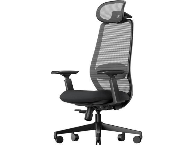 Click here for ProtoArc Ergonomic Office Chair EC200 High-Back Me... prices