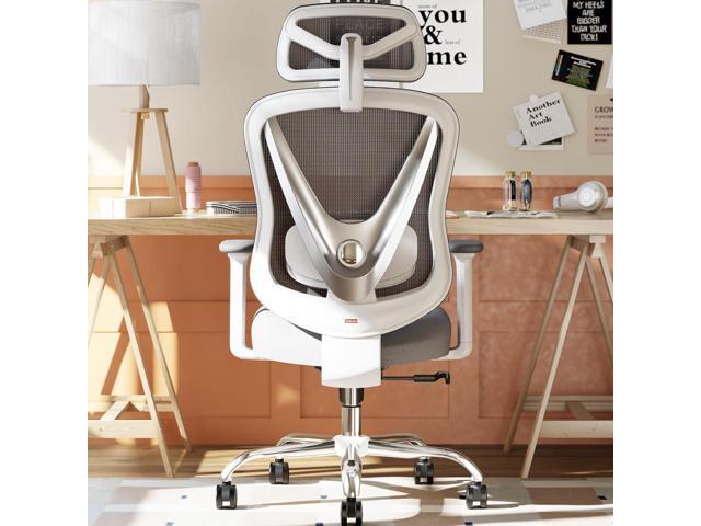 Click here for Ergonomic Mesh Office Chair - 3D Adjustable Lumbar... prices