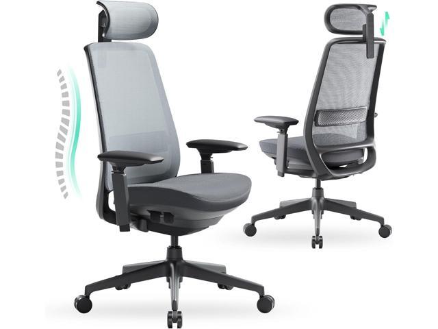 Click here for COLAMY Ergonomic Office Chair  High Back Computer... prices