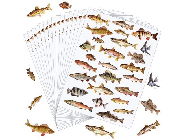 Click here for 20 Sheets Fish Stickers for Adult Crafts 520 Pcs R... prices