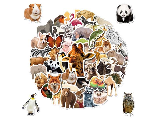 Click here for Cute Animal Water Bottle Stickers  200 Pcs Sticker... prices