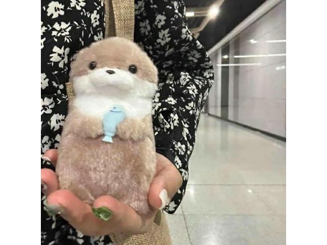 Click here for Cartoon Cute Otters Holding Fish Plush Doll With C... prices