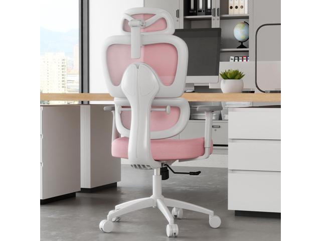 Click here for Ergonomic Office Chair with Adjustable Lumbar Supp... prices