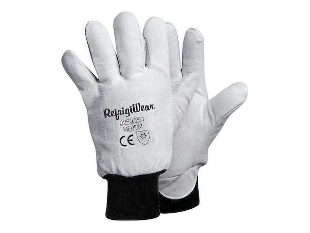 Click here for REFRIGIWEAR 0250RGRASML Cold Protection Gloves  Go... prices