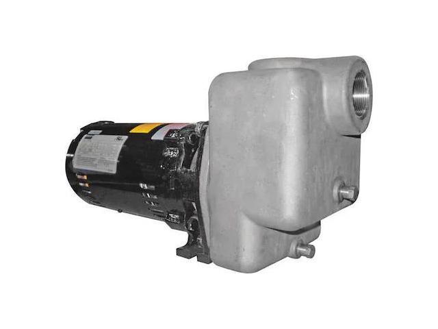 Click here for DAYTON 5GUP1 Centrifugal Pump  3/4 HP  ODP  3 Ph prices