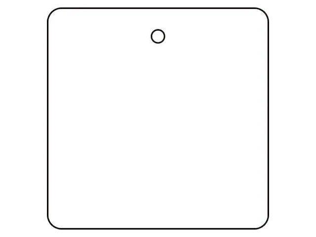 Click here for ZORO SELECT 22CM93 Tag  Blank  Plastic  2 in H x 2... prices