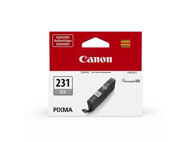 Click here for Canon Canon CLI-231 Ink Cartridge  Gray prices