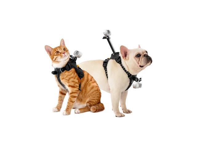Click here for Insta360 Pet Harness Mount for Action Camera  Smal... prices