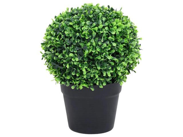 Click here for vidaXL Artificial Boxwood Plants 2 pcs with Pots B... prices