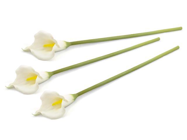 Click here for DII Flower Cala Lily White (Set of 3) prices