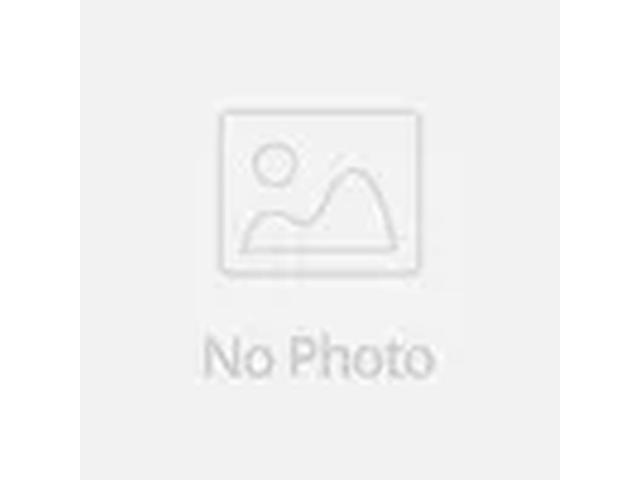 Click here for Adattatore Bluetooth Mini  Adattatore Wireless USB... prices