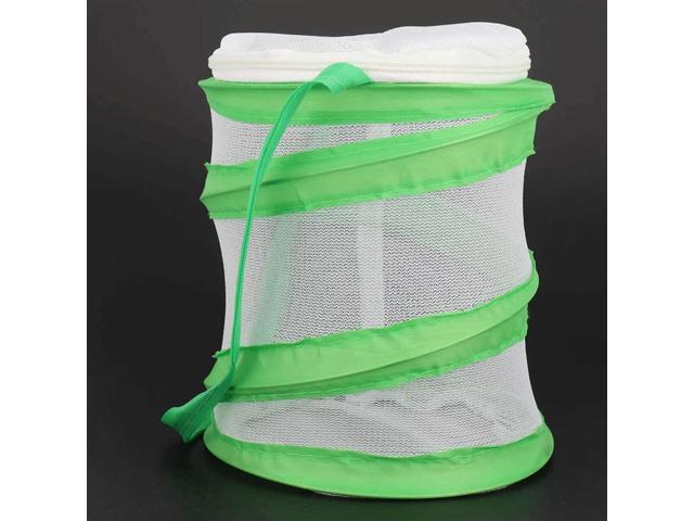 Click here for 3X Small Praying Mantis Stick Insect Butterfly -Up... prices