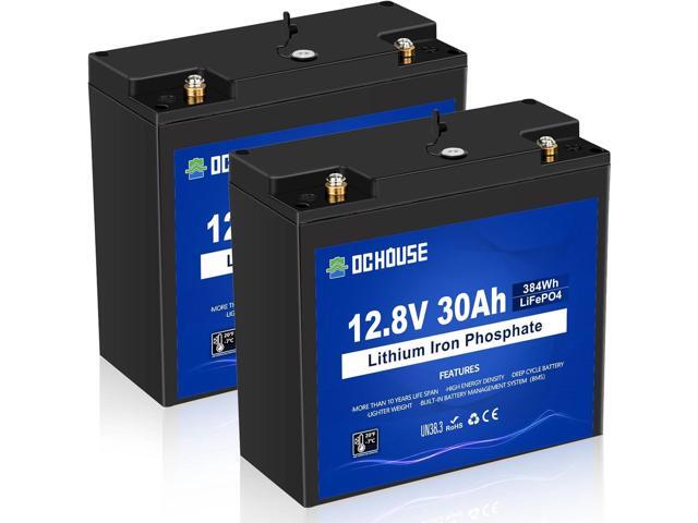 Click here for DC HOUSE 2 Pack 12V 30Ah LiFePO4 Lithium Battery w... prices