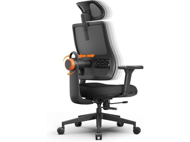 Click here for Newtral Ergonomic Office Chair with Adaptive Lumba... prices