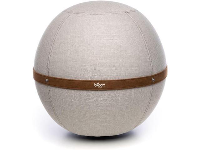 Click here for Bloon Paris Bloon Desk Ball Chair 25.5in Back Pain... prices