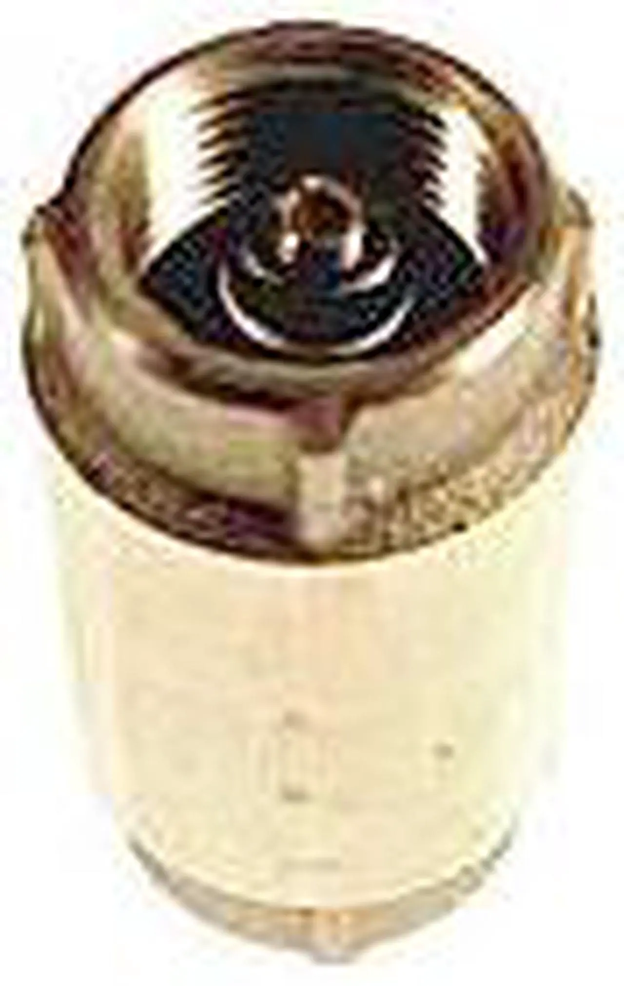 Mueller Industries 101-306 1-1/4" Brass Check Valves - Newegg.com