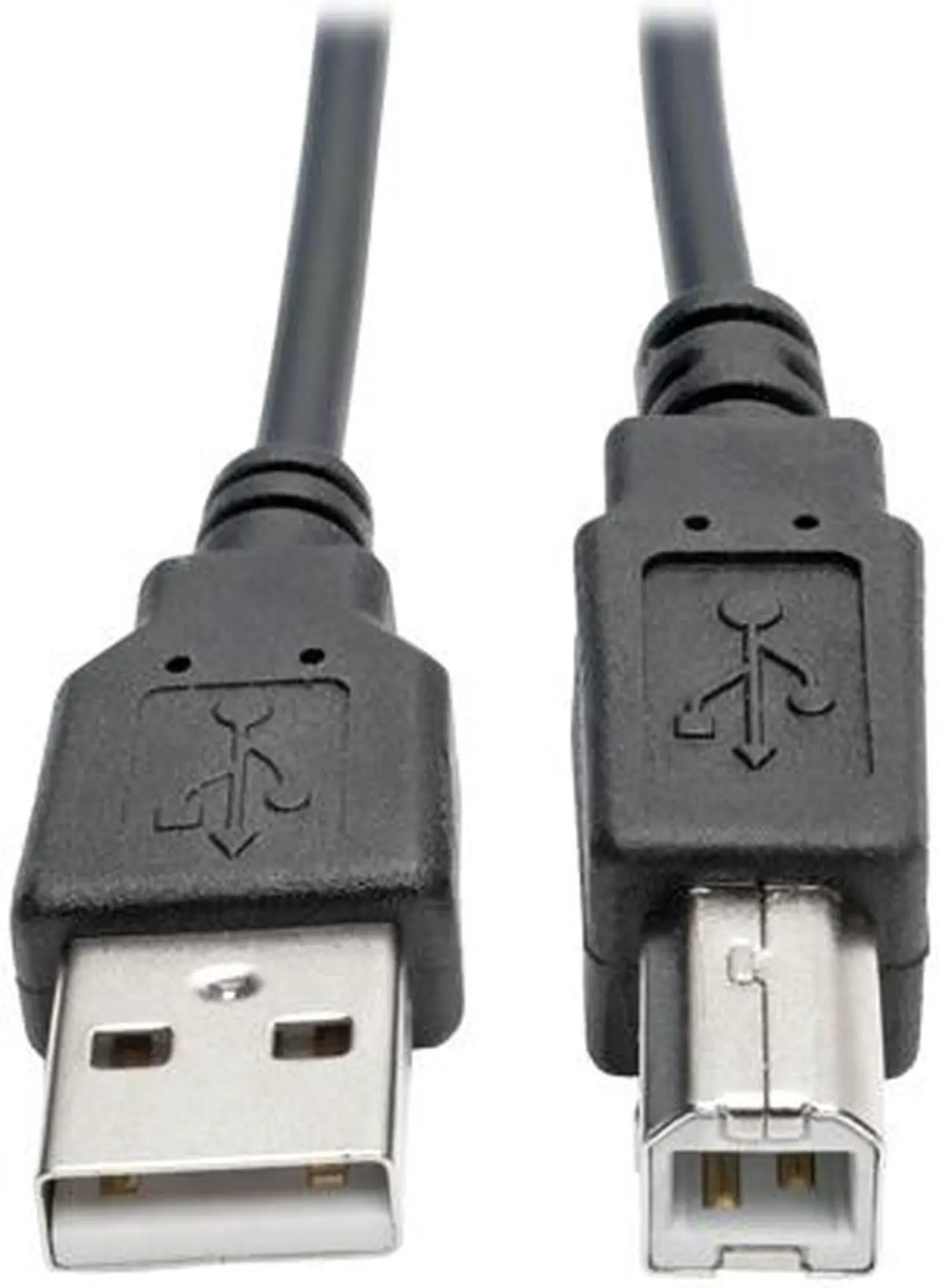 Tripp Lite U022-006-COIL USB 2.0 Hi-Speed A/B Coiled Cable - Newegg.com