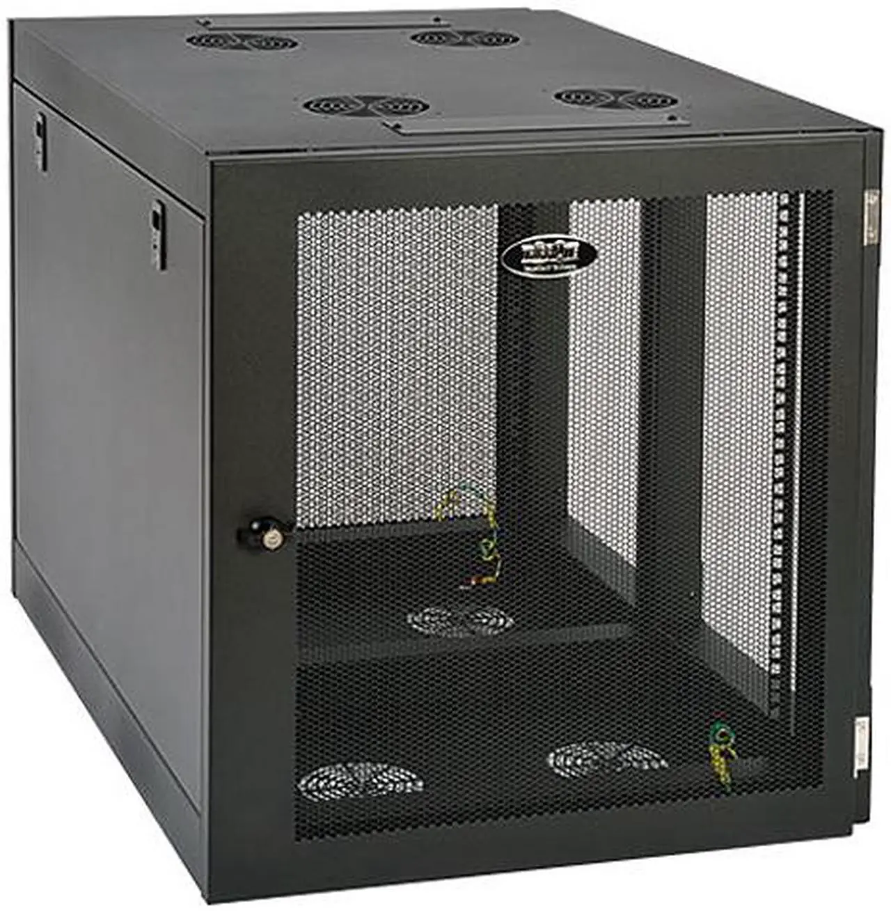 Tripp Lite 12U Wall-Mount Rack Enclosure Cabinet, Heavy-Duty Side-Mount ...