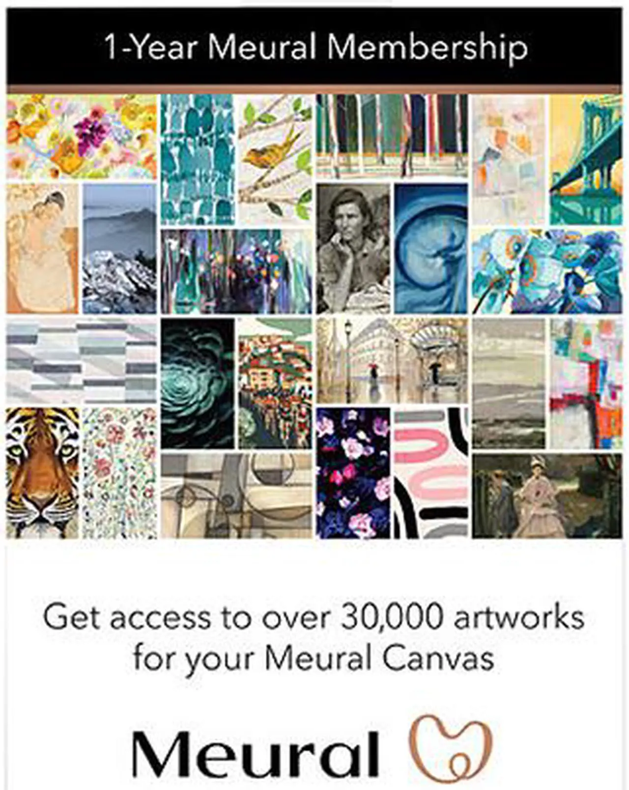 Meural Canvas Annual Membership Card for Digital Picture Frame Art ...