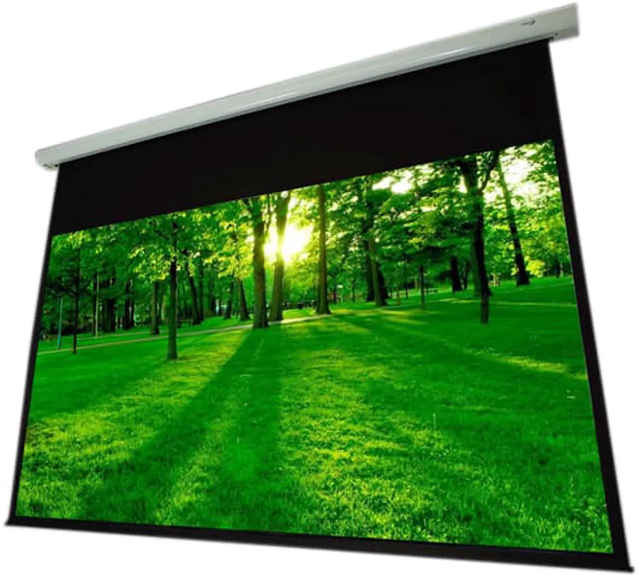 Luna 106in Diag Hd Motorized Projection Screen - Newegg.com
