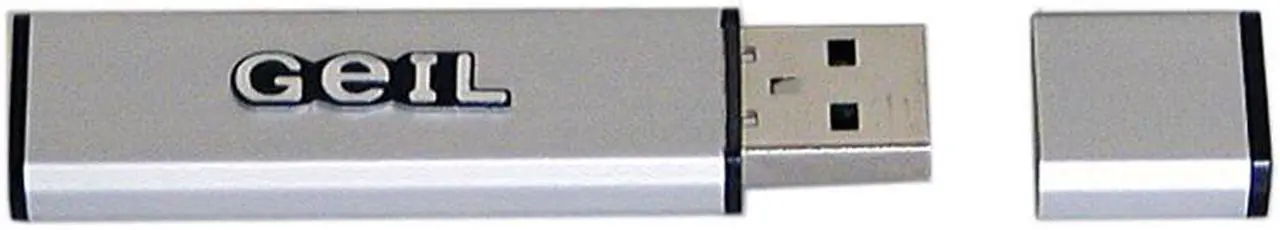 GeIL 64MB Flash Drive (USB1.1 Portable) - Newegg.com