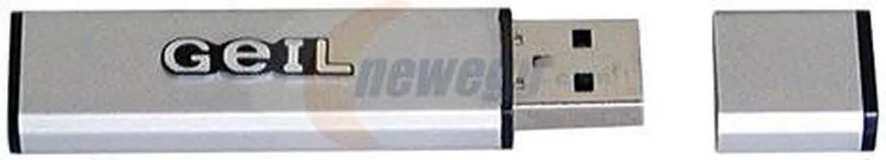 GeIL 256MB Flash Drive (USB Portable) - Newegg.com