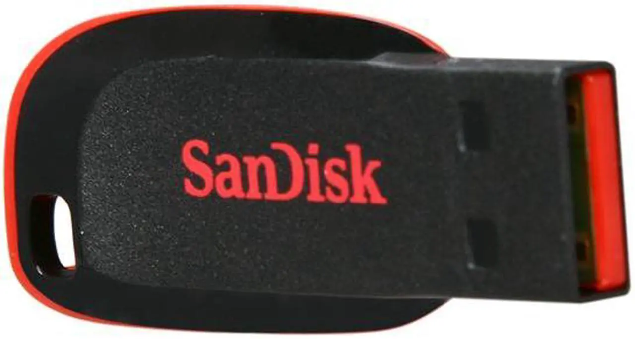 SanDisk Cruzer Blade 4GB USB 2.0 Flash Drive - Newegg.com