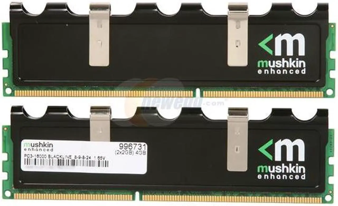 Mushkin Enhanced 4GB (2 x 2GB) DDR3 2000 (PC3 16000) Desktop Memory Model 996731 - Newegg.com