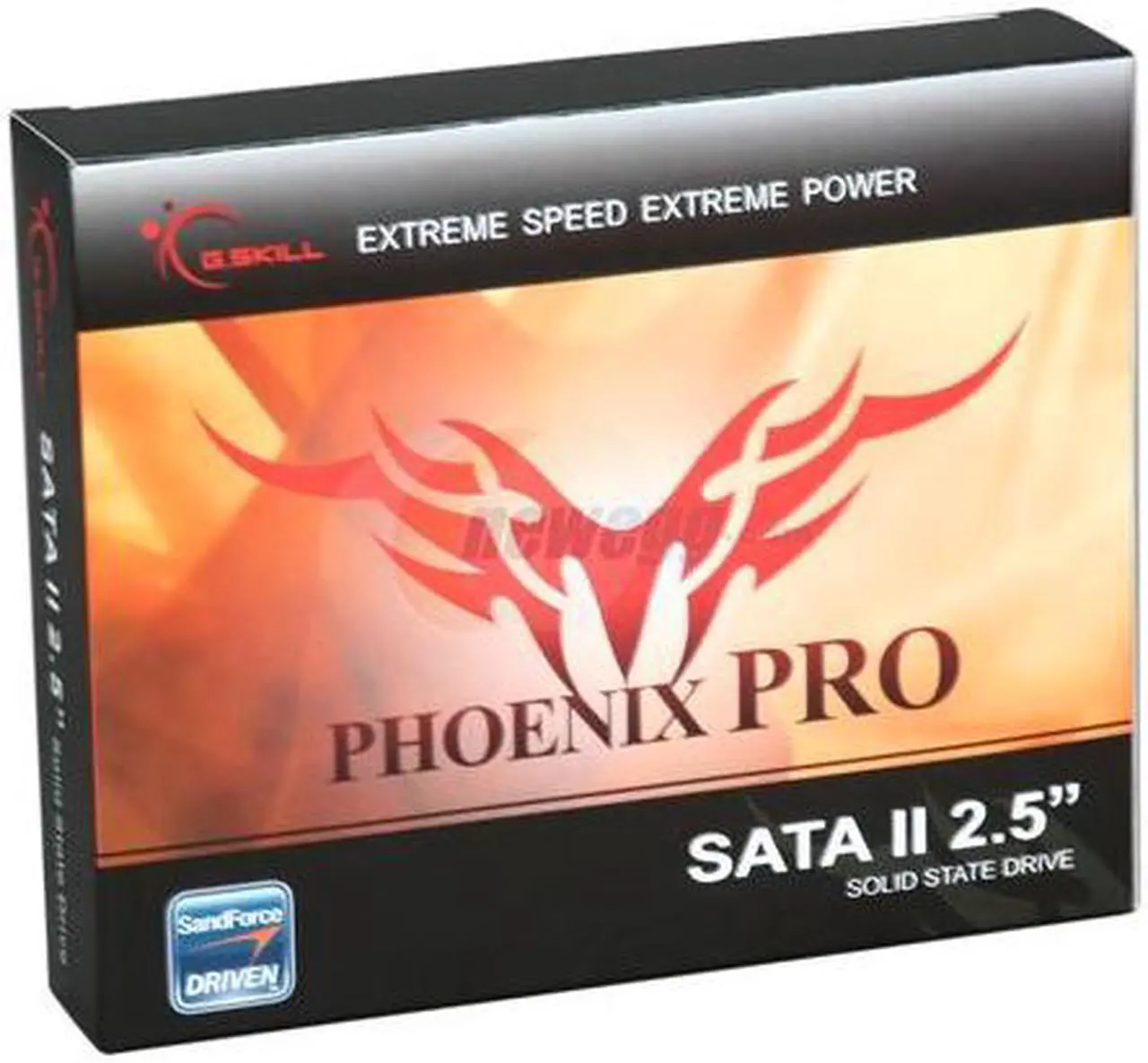 G.SKILL Phoenix Pro Series 2.5" 40GB SATA II MLC Internal Solid State ...